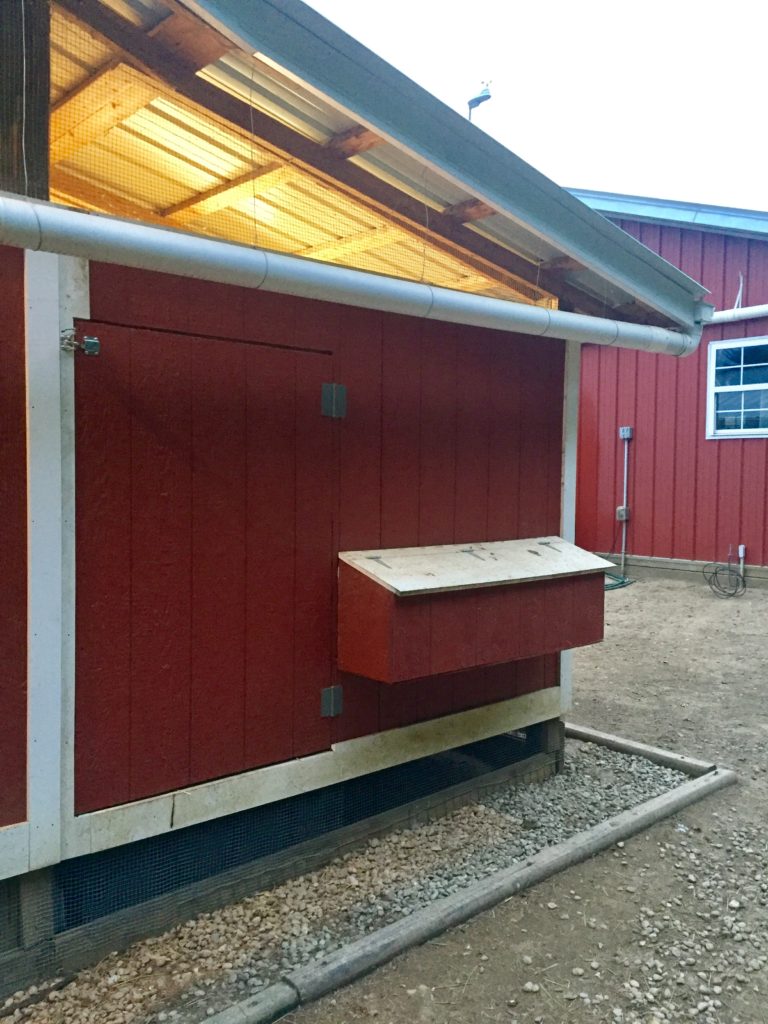 6 Basics for Chicken Coop Design - Backyard Poultry
